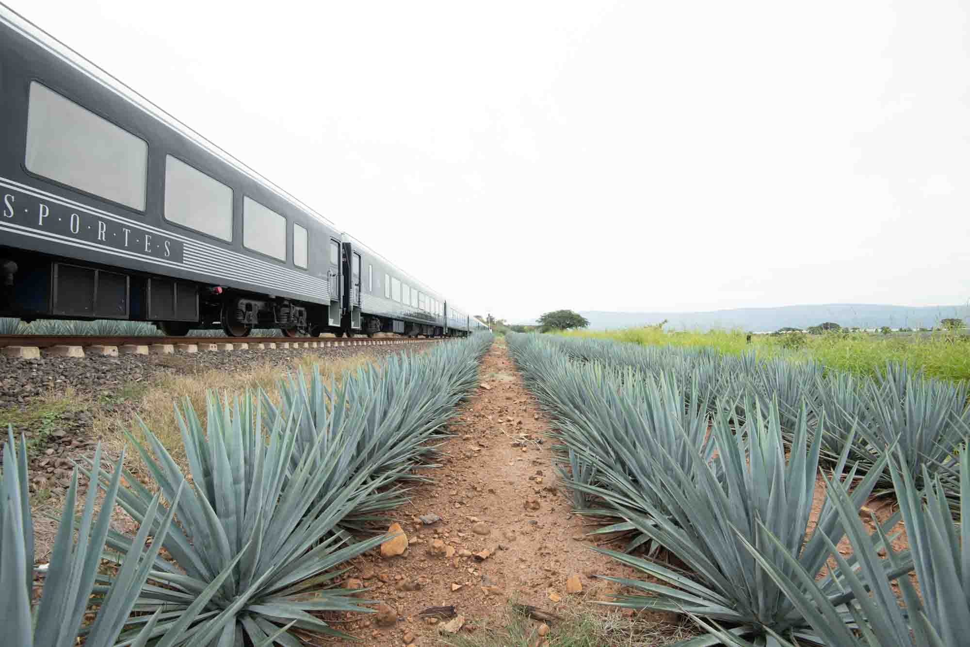 Tequila express - Ferromex Ferromex