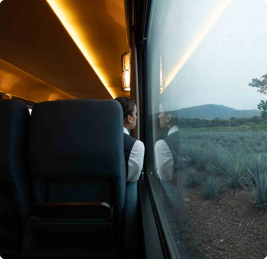 Tequila express - Ferromex Ferromex